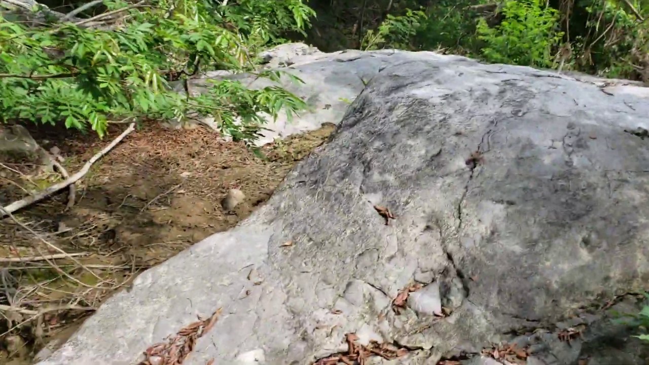 En El Rio de Santa Maria Santiago Yaveo - YouTube