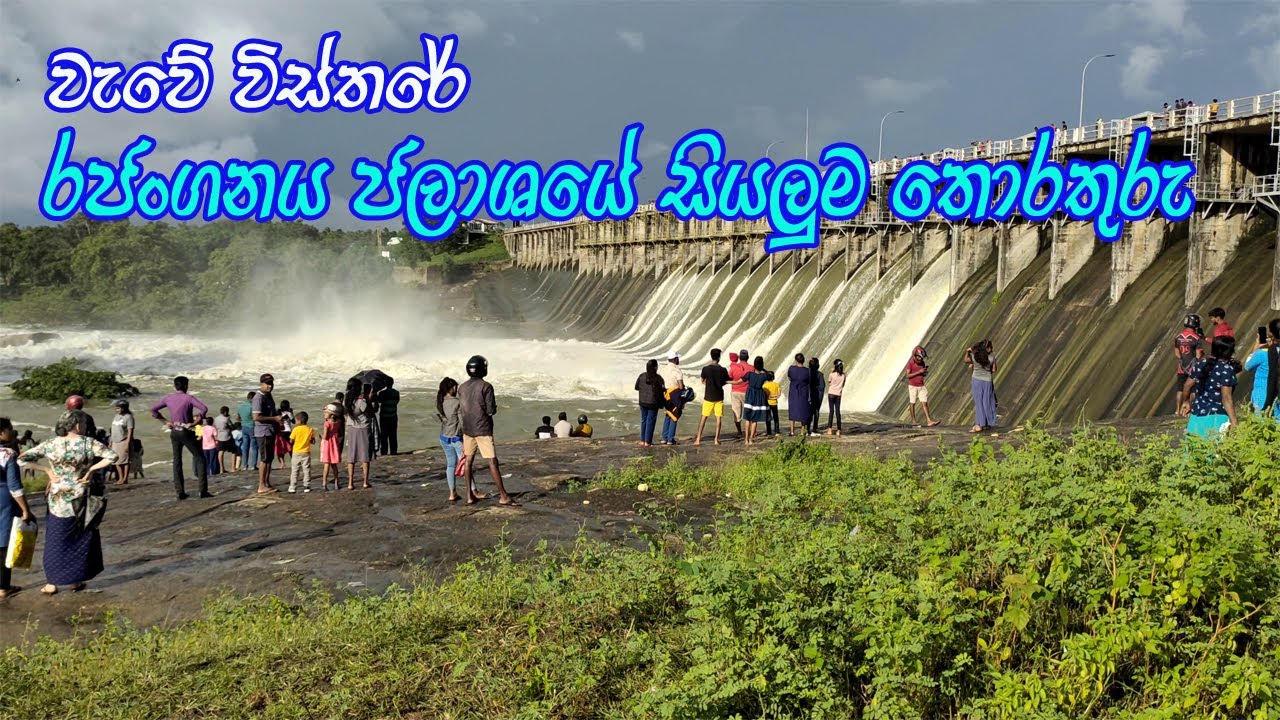 රාජාංගනය වැව ගැන ඔබ නොදත් දේ | Rajanganaya Dam | rajanganaya wawa ...