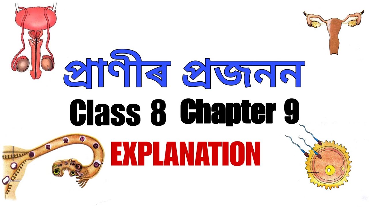 Class 8 Science Chapter 9 প্ৰাণীৰ প্ৰজনন Explanation Assam - YouTube