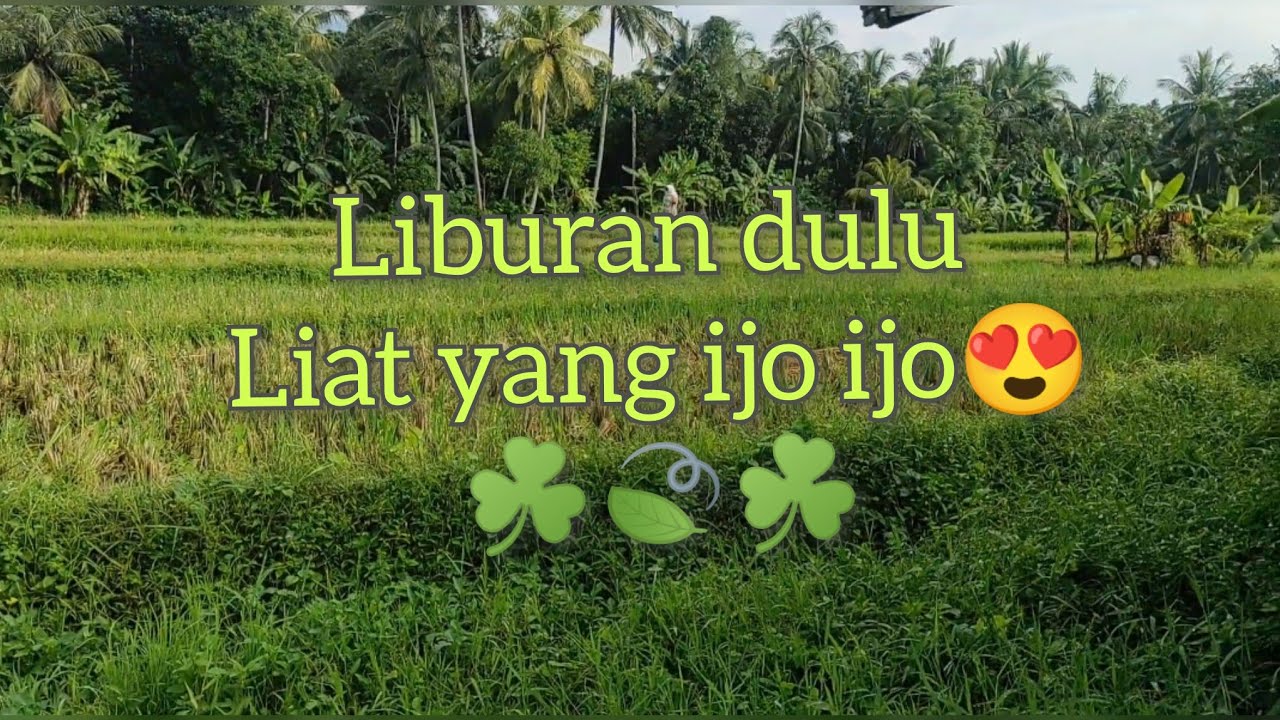 sepsdacko mudik lebaran dulu liat yang ijo ijo 😍☘️ - YouTube