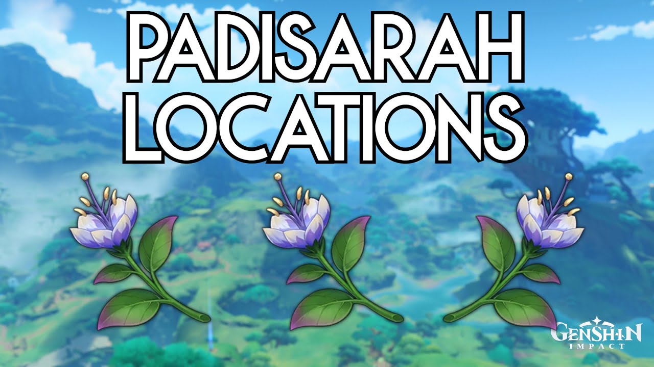 Padisarah Locations - Genshin Impact - YouTube