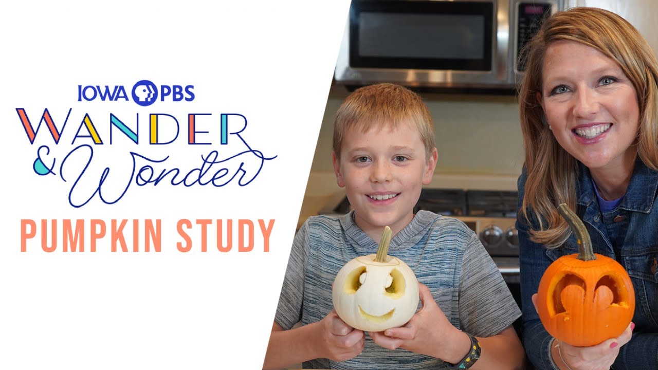 Pumpkin Study | Wander & Wonder - YouTube