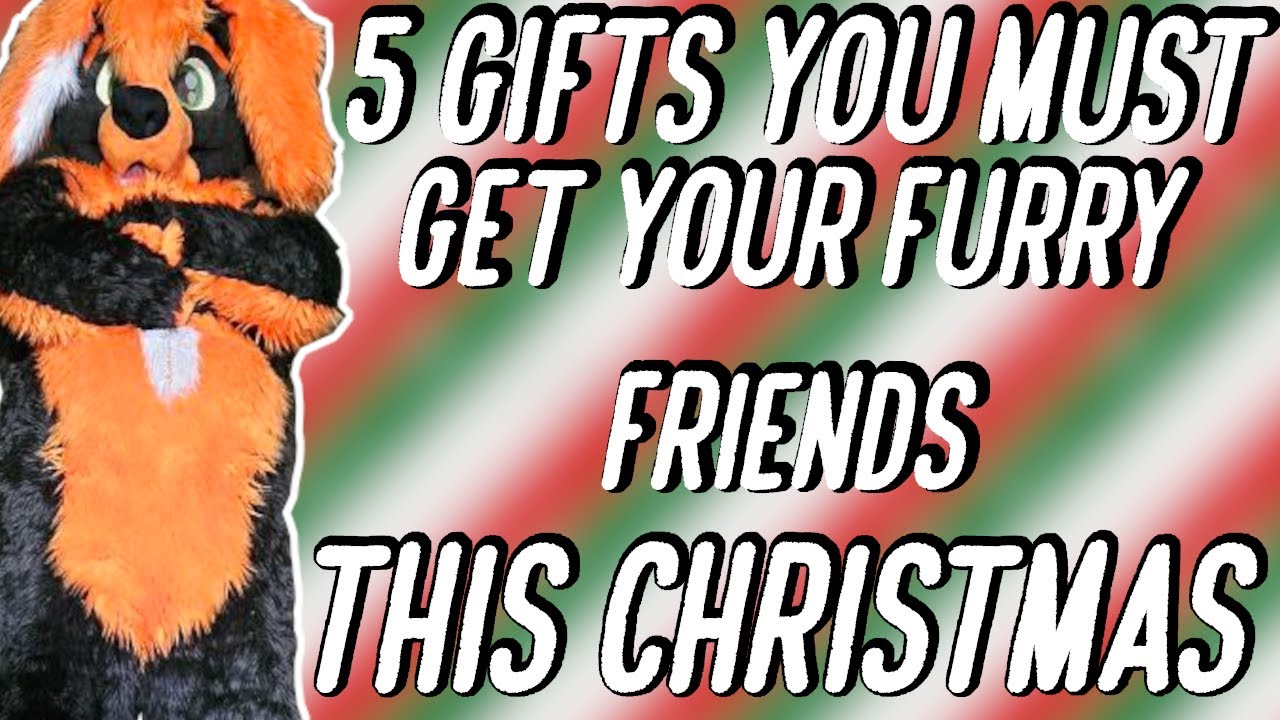 5 GIFTS YOU MUST GET YOUR FURRY FRIENDS THIS CHRISTMAS - YouTube