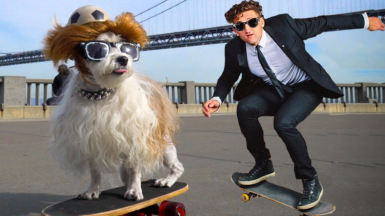 Dog Takes Over Famous YouTuber's Vlog! - YouTube
