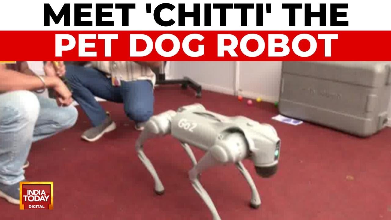 Artificial Intelligence: Chitti, the Robot Pet of the Future | India ...