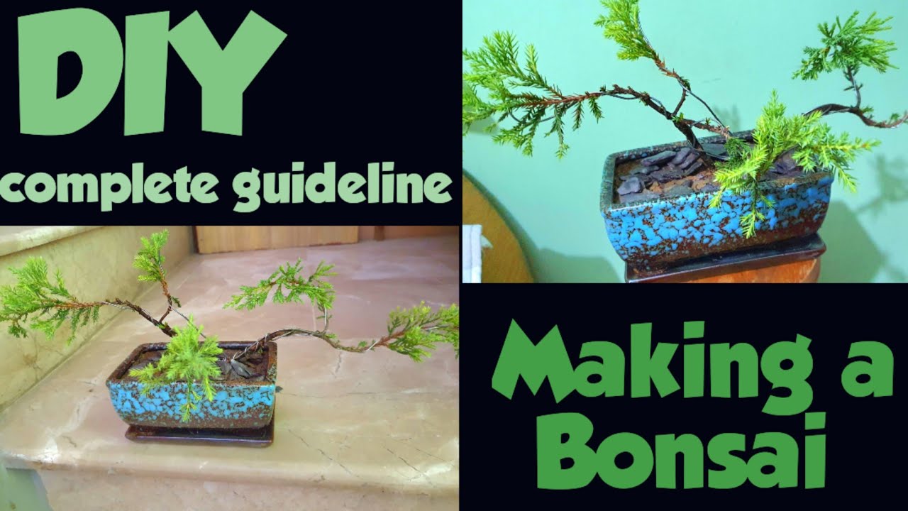 How to Create a Bonsai Tree// DIY / Ideas by Farheen - YouTube