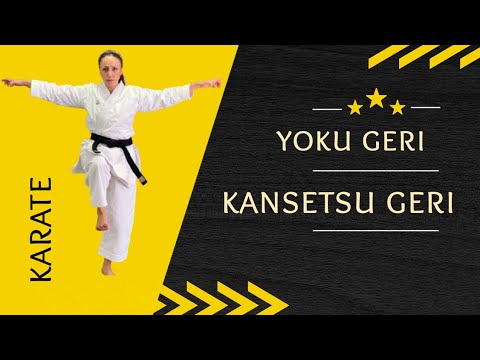 The complete training of the techniques of yoku geri and kansetsu geri ...