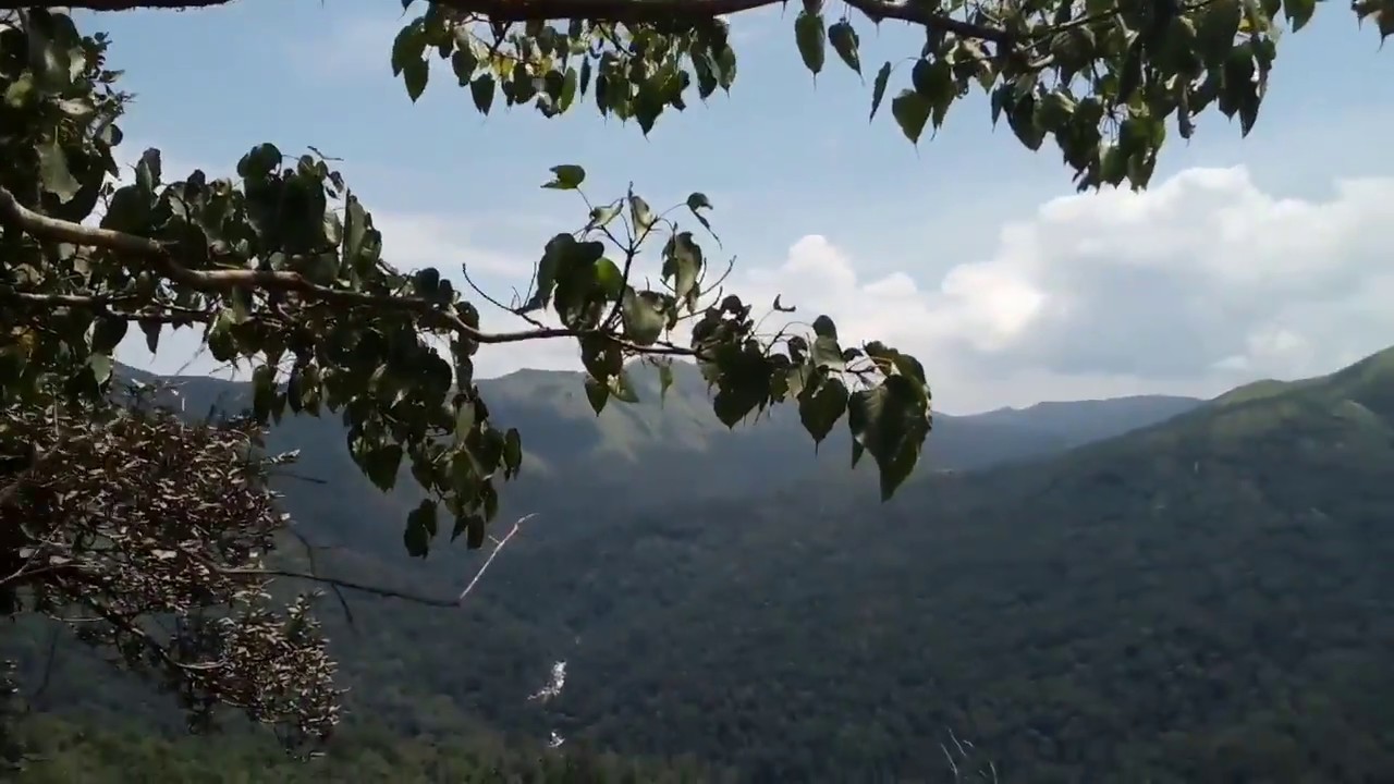 Sakleshpur | kasargali homestay | Bisle Ghat view point | Near ...