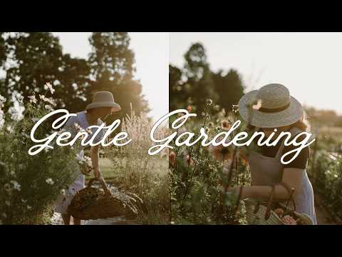 Easy Regenerative Gardening Practices You Can Do Today