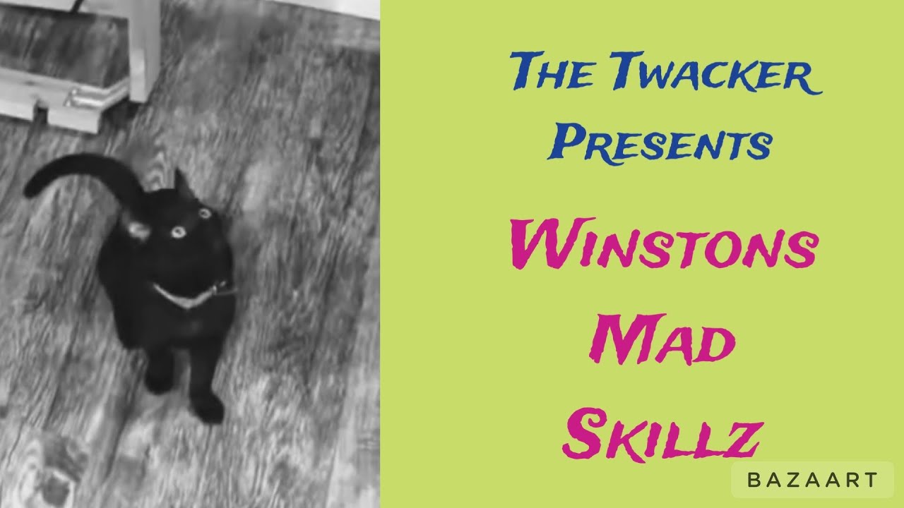 The Twacker Presents WINSTONS MAD SKILLZ. #thetwacker #blackcat # ...