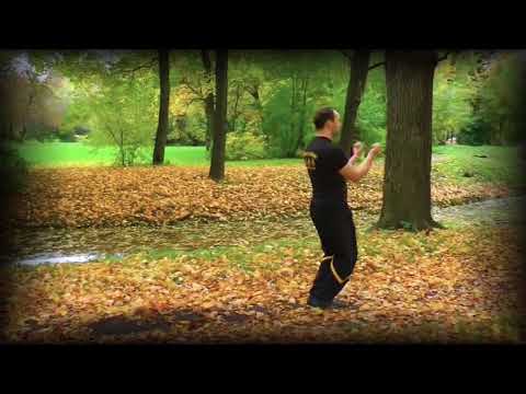 Chum Kiu second Wing Chun form 3