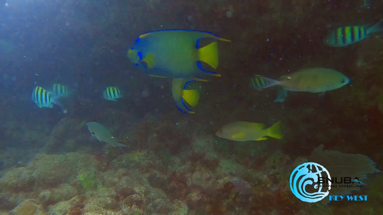 We bring you Western Dry Rocks series! - YouTube