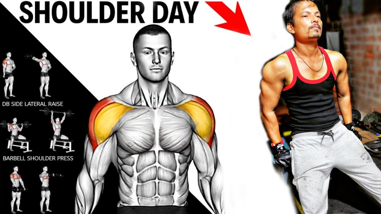 The Best Way to Build Your Shoulders and To Getas Strong as Possible ...
