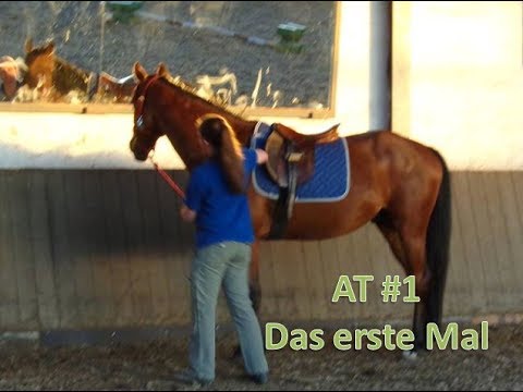 [Ausbildungstagebuch] #1 Das erste Mal aufsitzen - YouTube