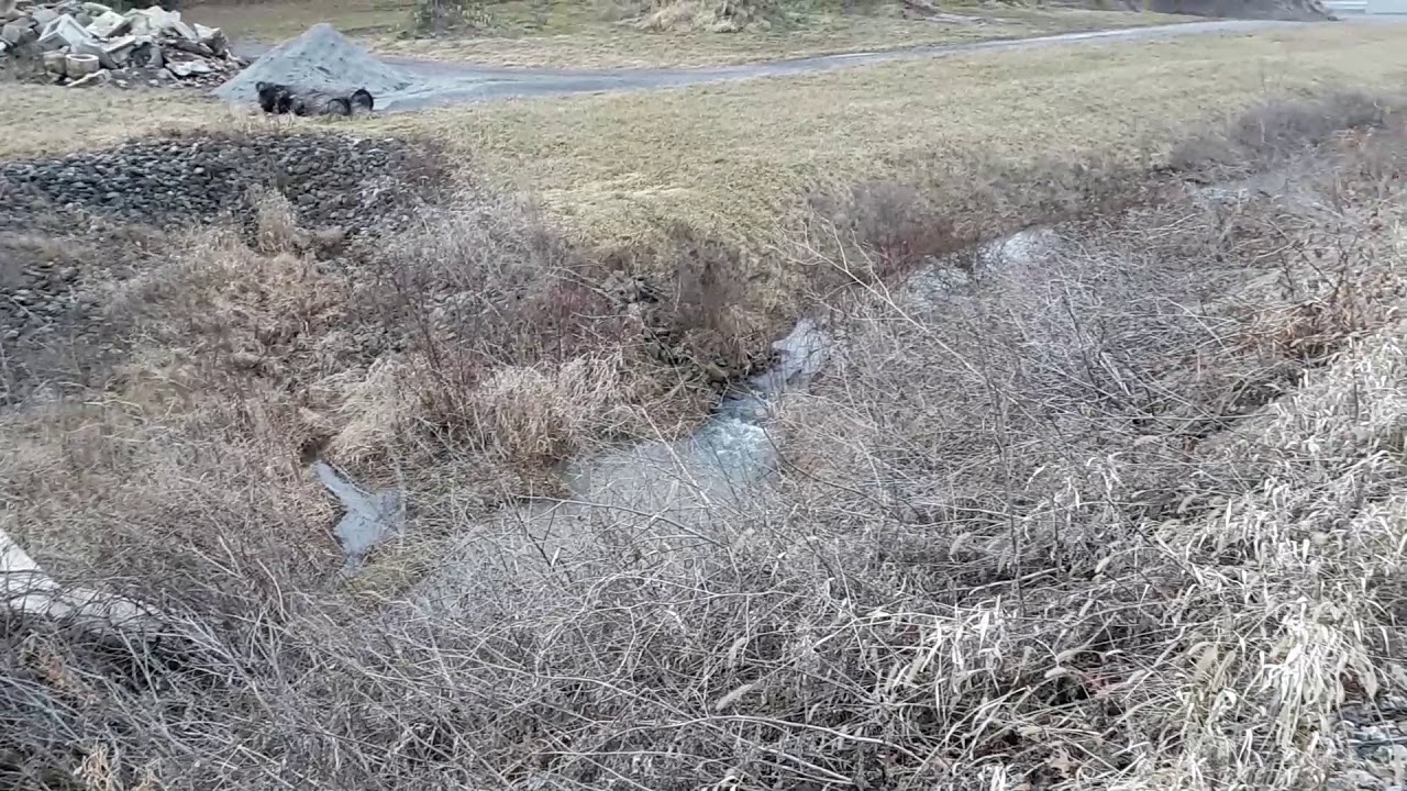 Turkey Foot Creek & The Wabash-Cannonball Trail (Fulton County, Ohio ...