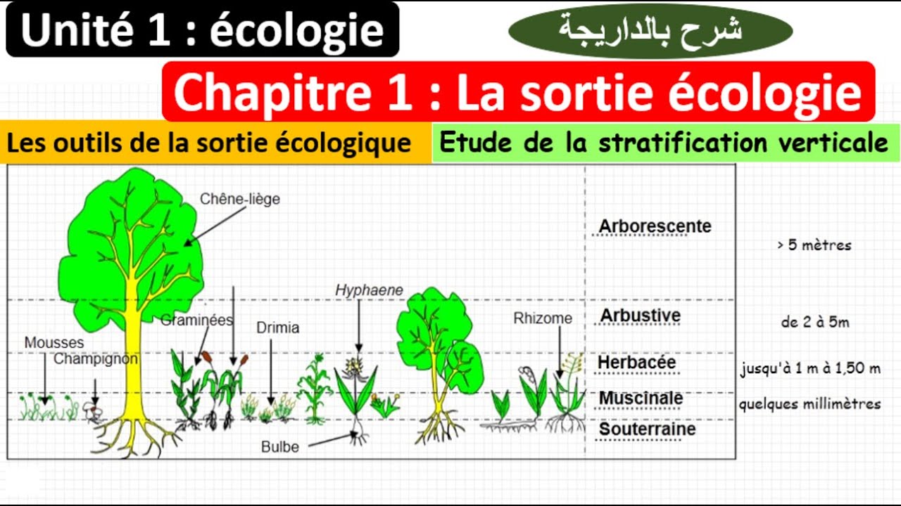 écologie : la sortie écologique tcsf (ملخص المحور الأول بالداريجة ...