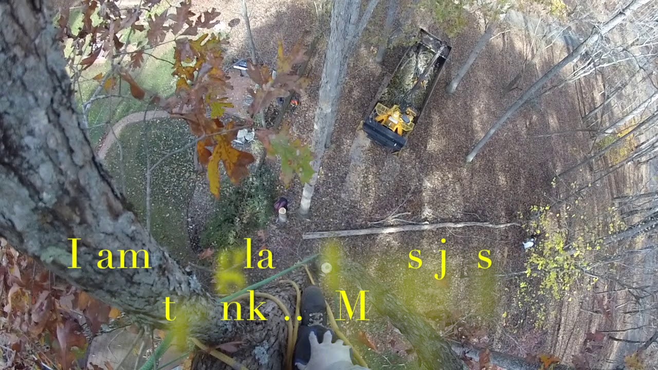 Use of A Zip Line on Tree Limbs Part 4 - (2017) - YouTube