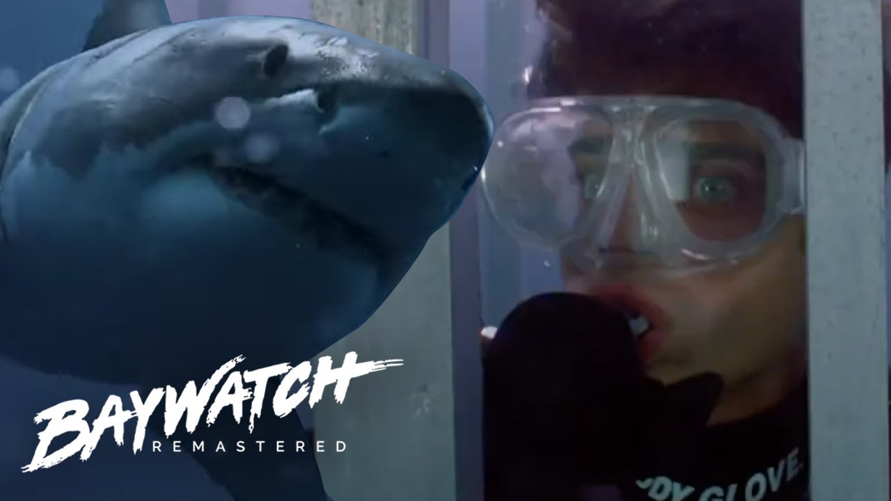 SHARK ATTACK! MATT Dives Into A Shark Cage & Drifts Away In Shark ...