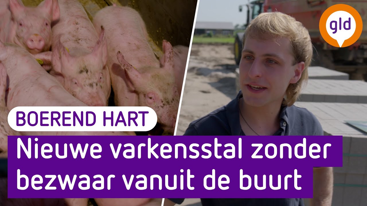 BOER SJOERD kan nog wél UITBREIDEN | Boerend Hart - YouTube