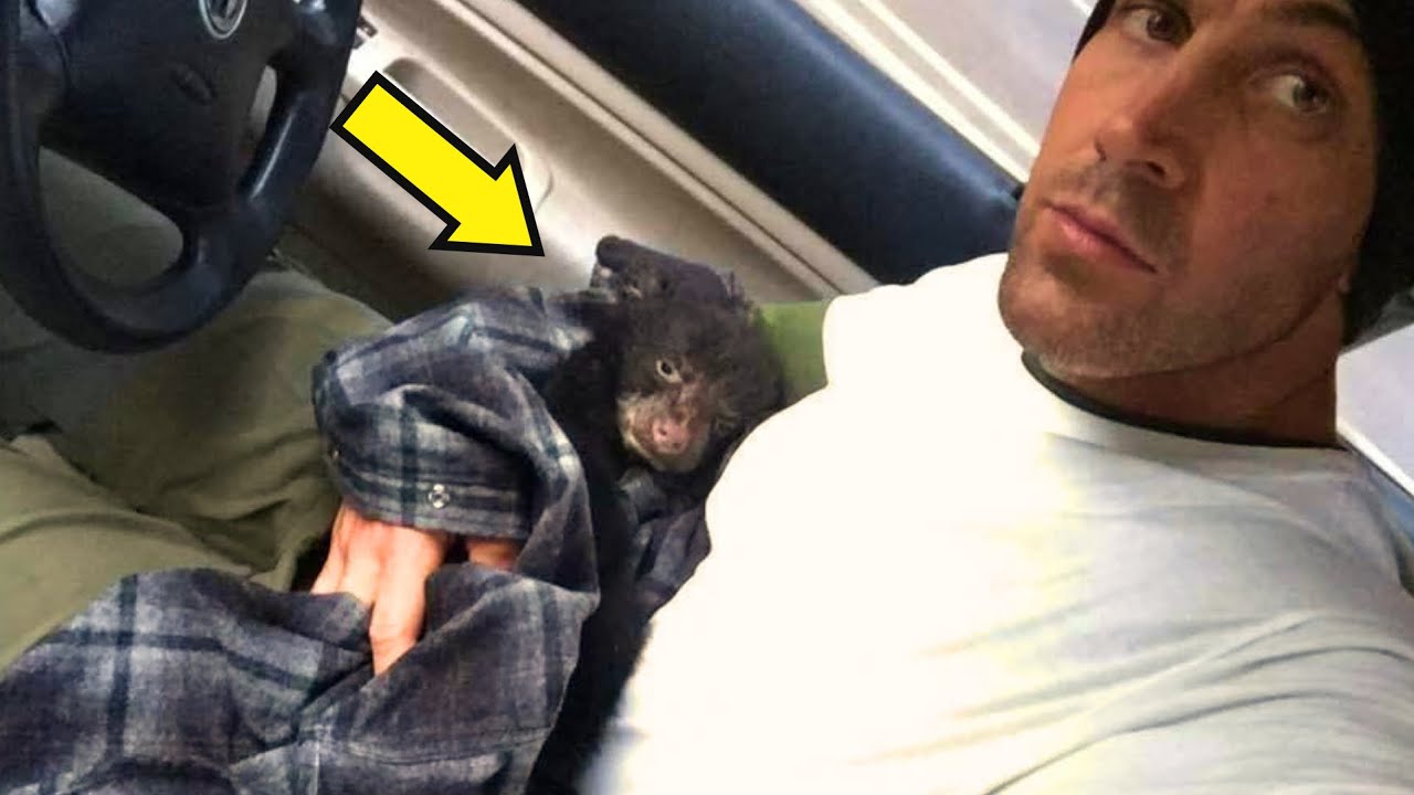 Man Rescues Bear Cub, What Happened Next Shocked the World - YouTube