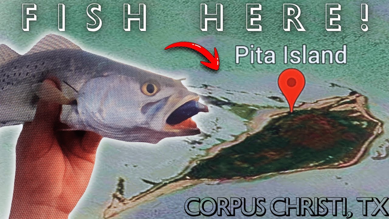 Fishing at the famous PITA ISLAND in Corpus Christi, TX! - YouTube