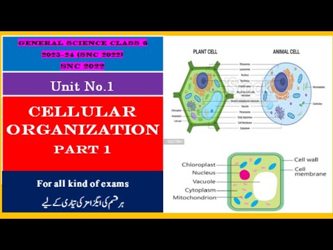 class 6 Science Book Unit 1|| Cellular Organization || SNC 2022 || part ...