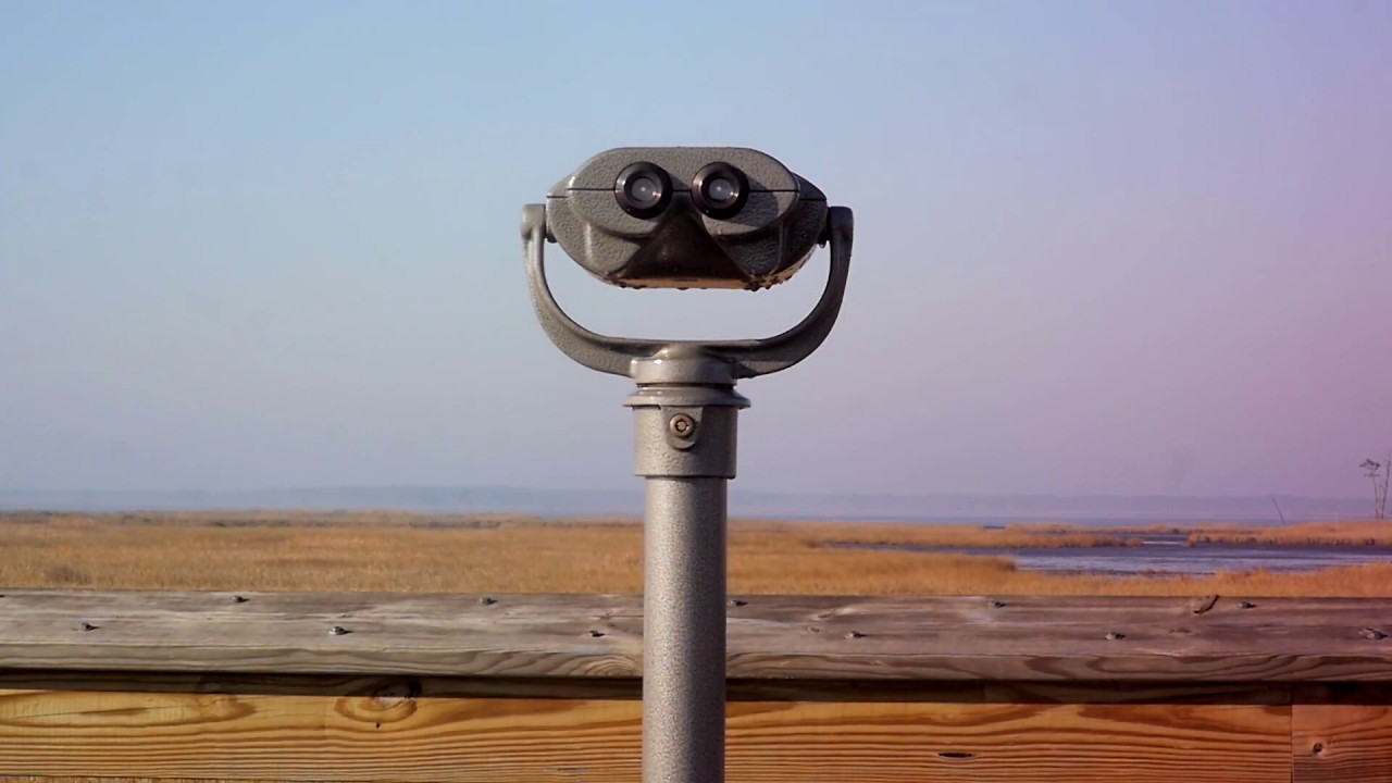 Birding in Dorchester County | Ray Paterra, Blackwater National ...