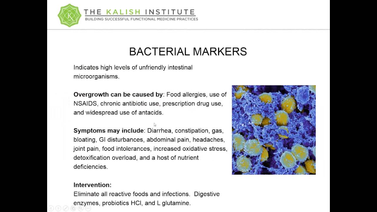 An Introduction to Organic Acid Testing Part 2 - YouTube