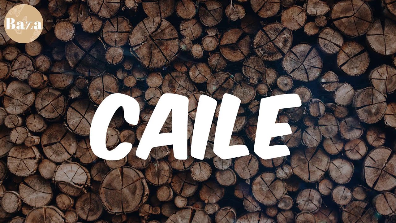 Caile (Letra/Lyrics) - Luar La L - YouTube