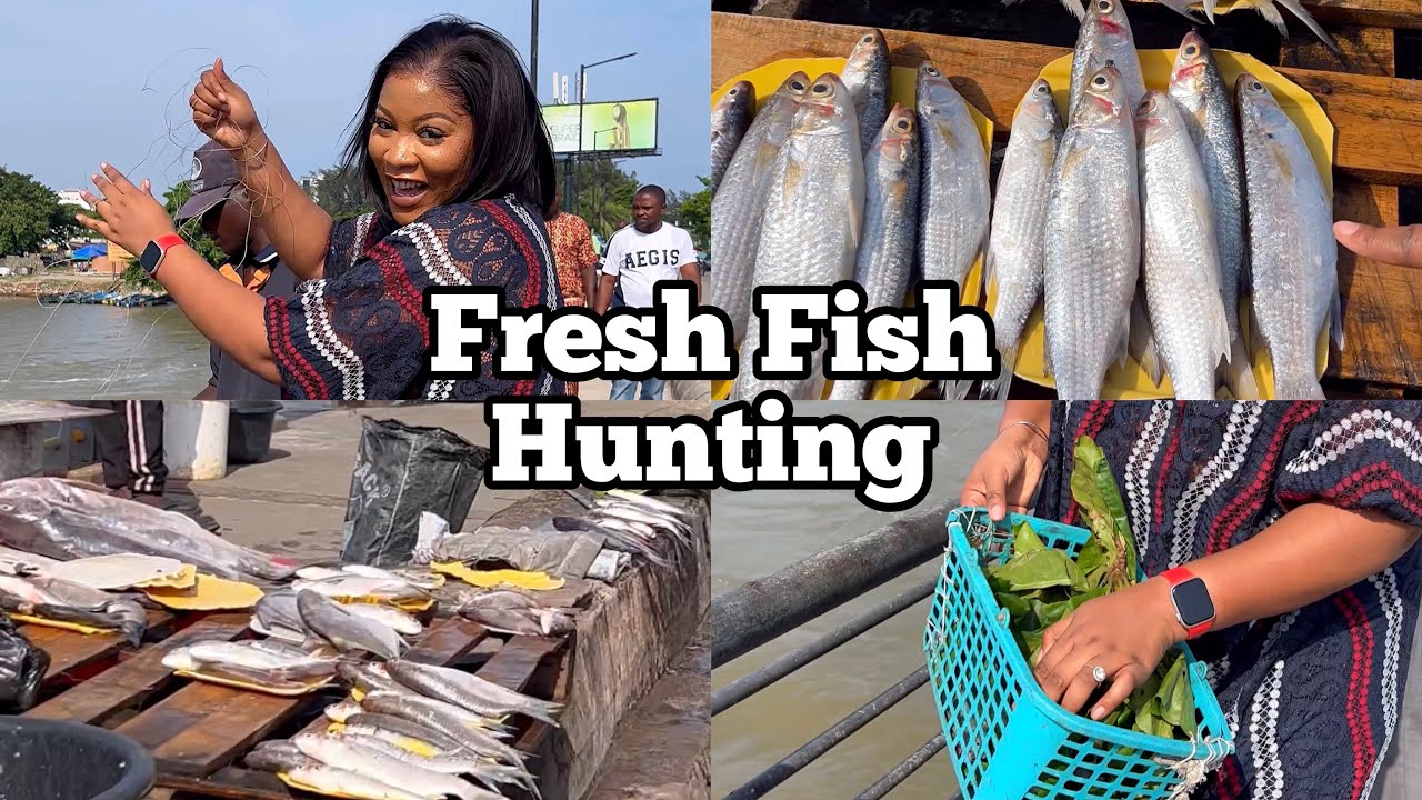 THERAPEUTIC FISH HUNTING IN VI LAGOS | SEE THE FRESH FISH CAUGHT # ...