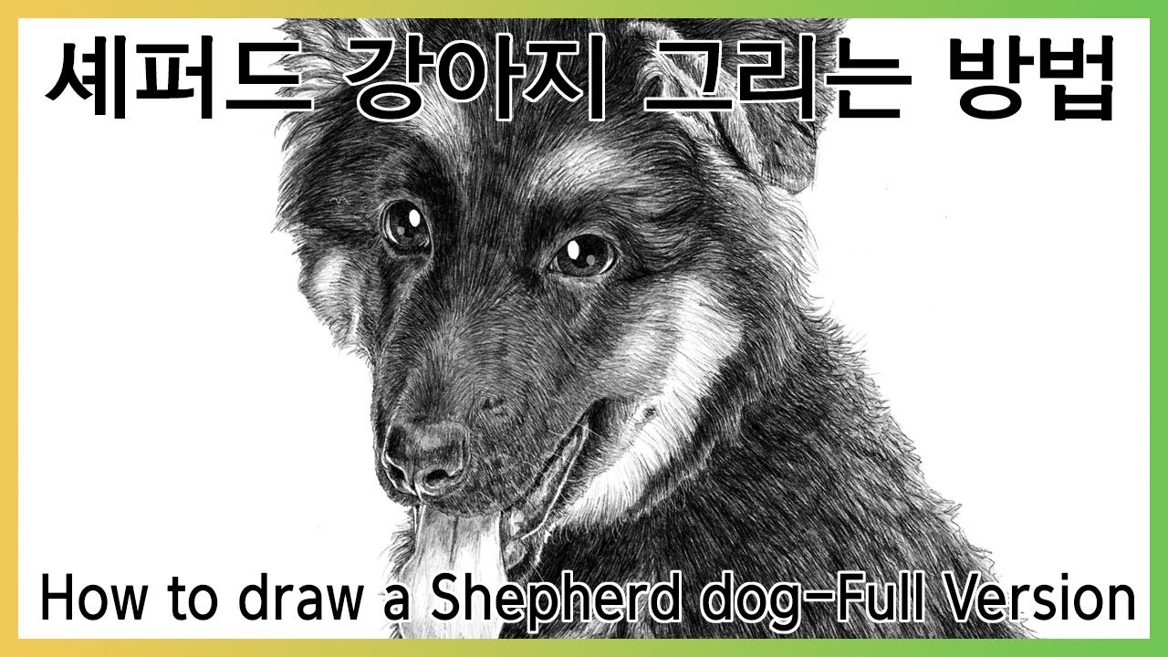 셰퍼드 그리는 방법(How to draw a Shepherd dog-Full Version) - YouTube