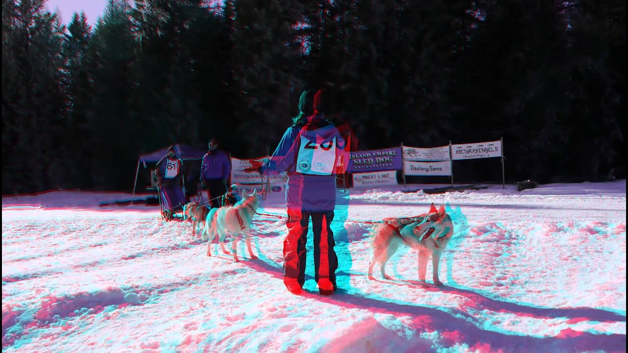 3D - Pacific Northwest Sled Dog Championship - Stereoscopic 3D red/cyan ...
