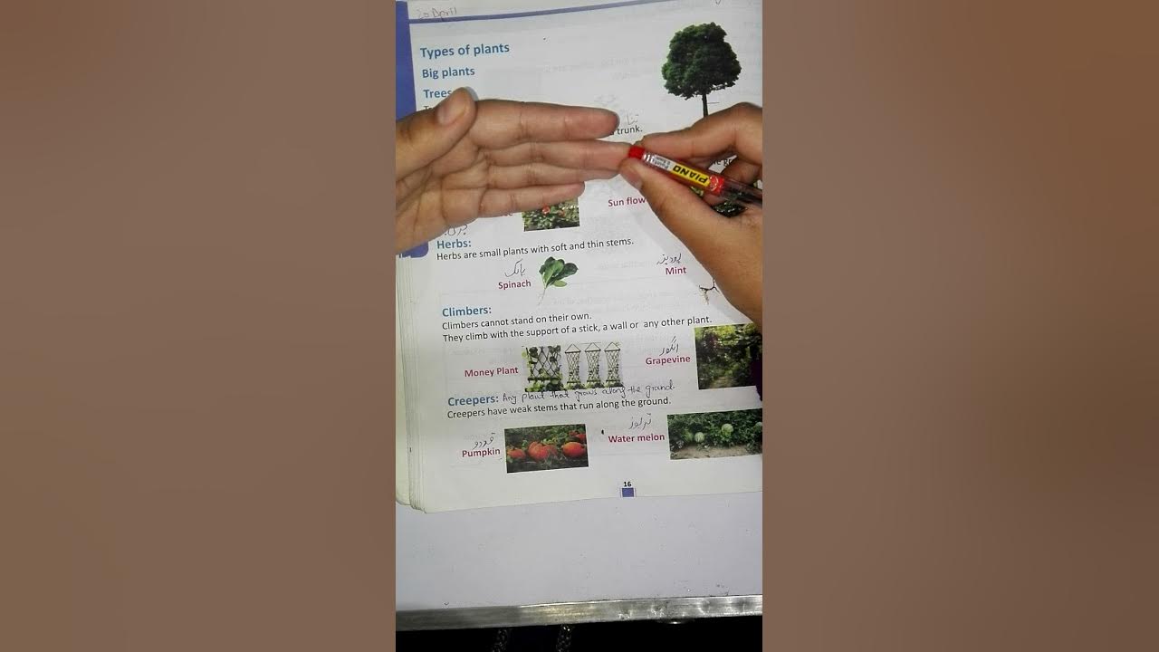 Grade 1, Science, Chapter 3, Plants and Animals Lecture# 2 - YouTube