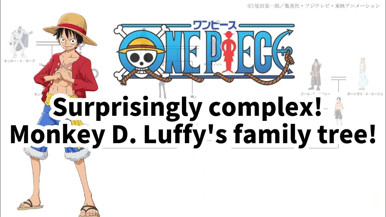【ONE PIECE】 Surprisingly complex! Monkey D. Luffy's family tree! - YouTube