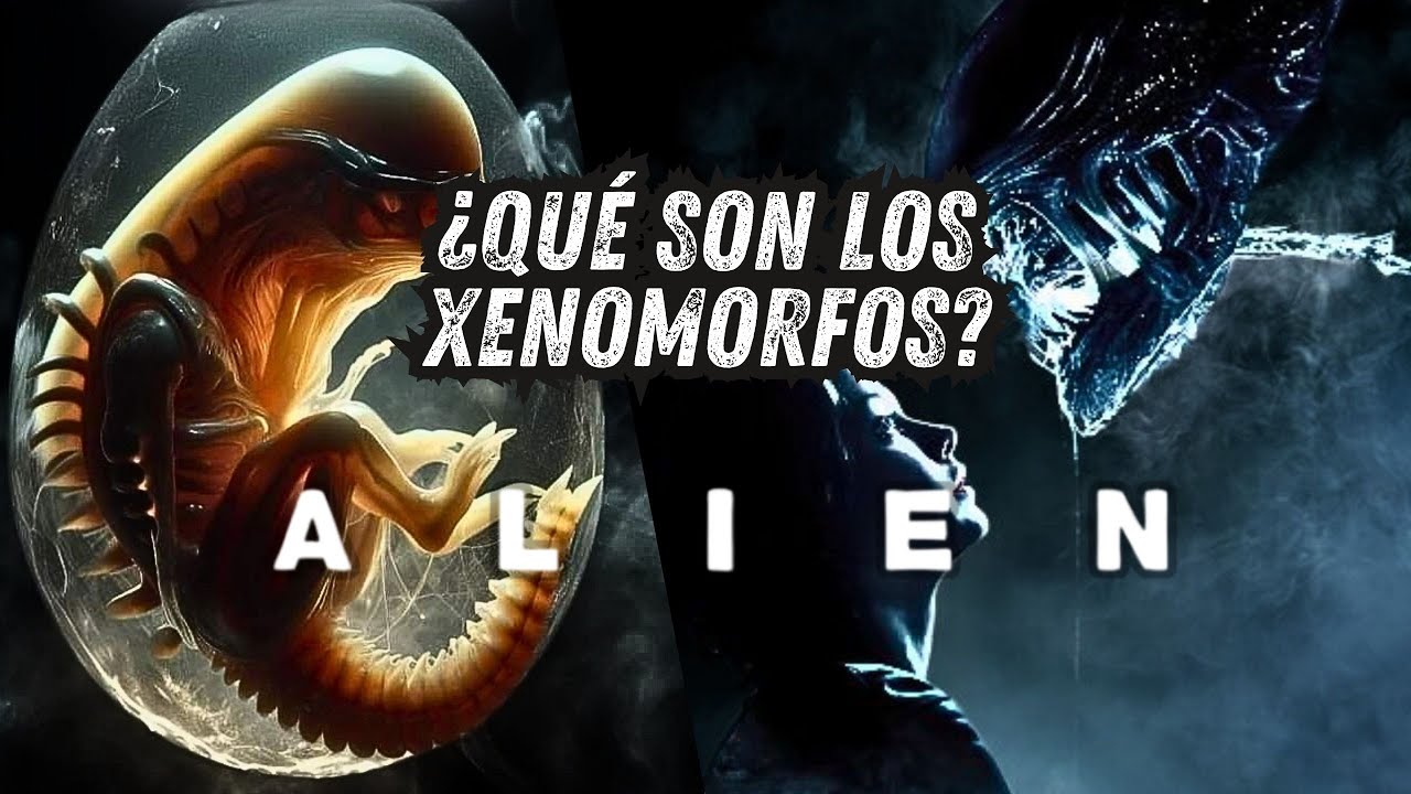 ¿Que son LOS XENOMORFOS? | HISTORIA Y ORIGEN DE LOS ALIENS - YouTube