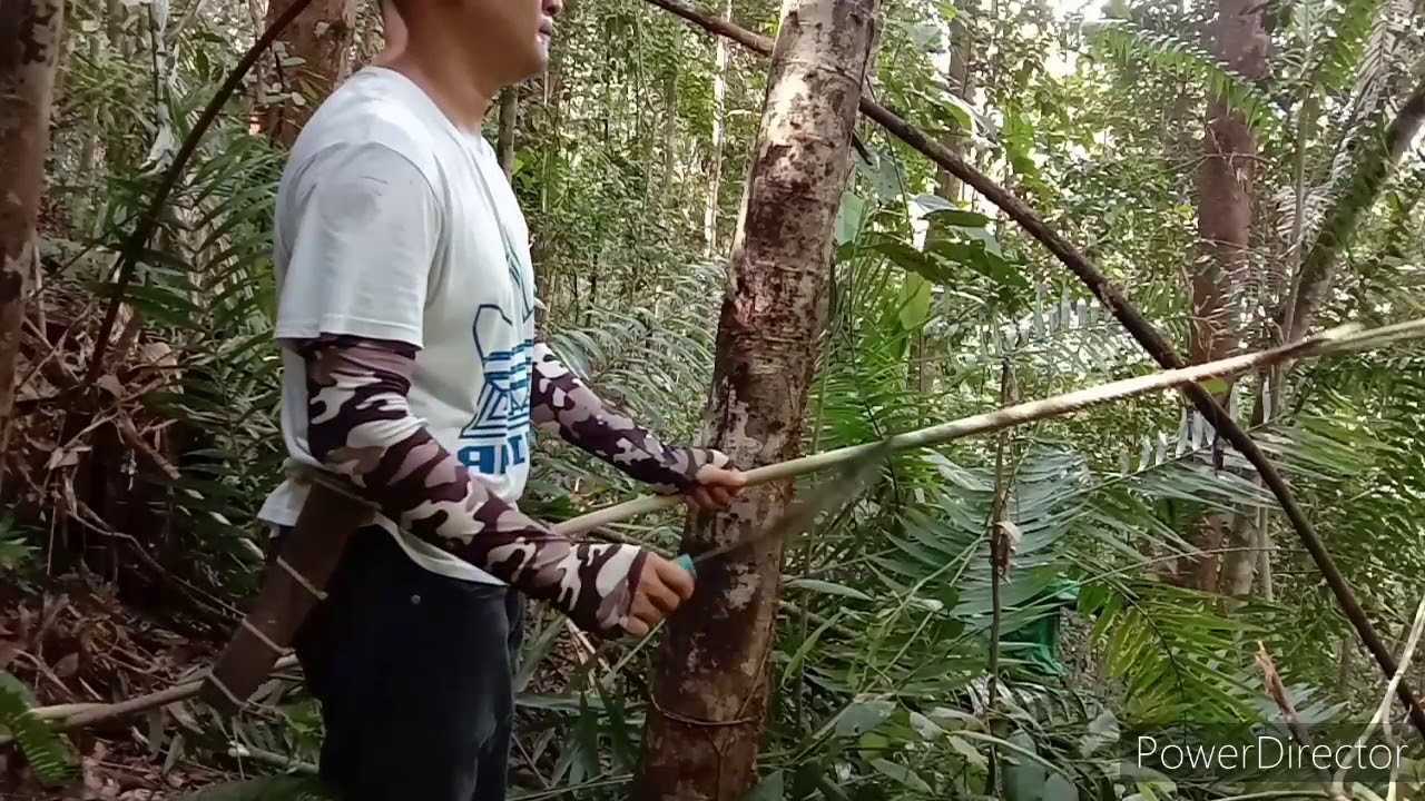 WILD FOODIE TOUR !! - UPA LALIH - YouTube