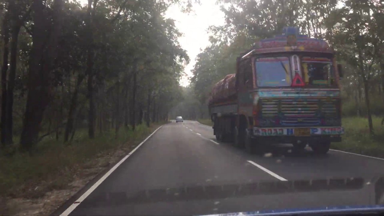 Wayanad: Bandipur Tiger Reserve And National Park NH-766 - YouTube