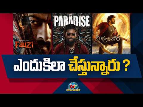 The Real Reason Behind Fauzi, The Paradise & Vishwambhara Delays ? | NTV ENT