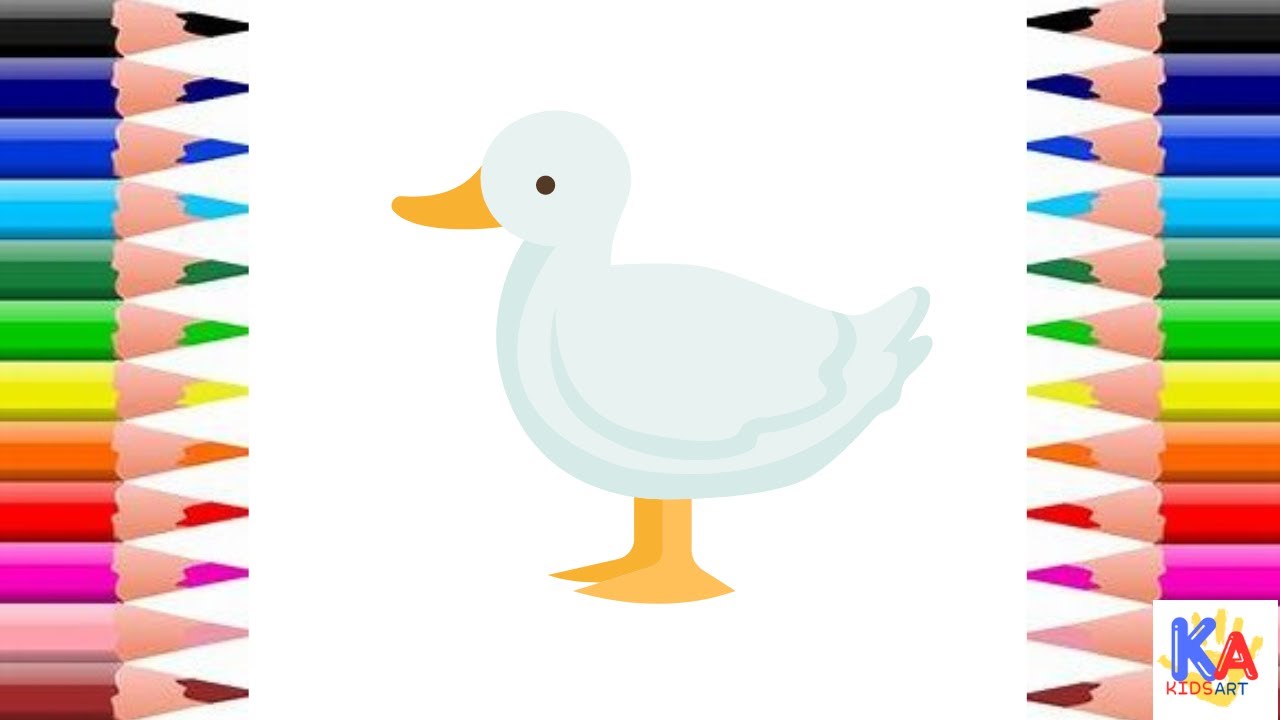HOW TO DRAW AND COLOUR A CUTE DUCK - YouTube