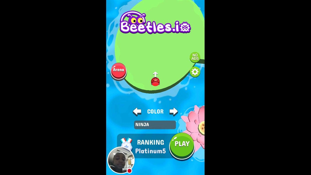 My Beetles.io Stream - YouTube