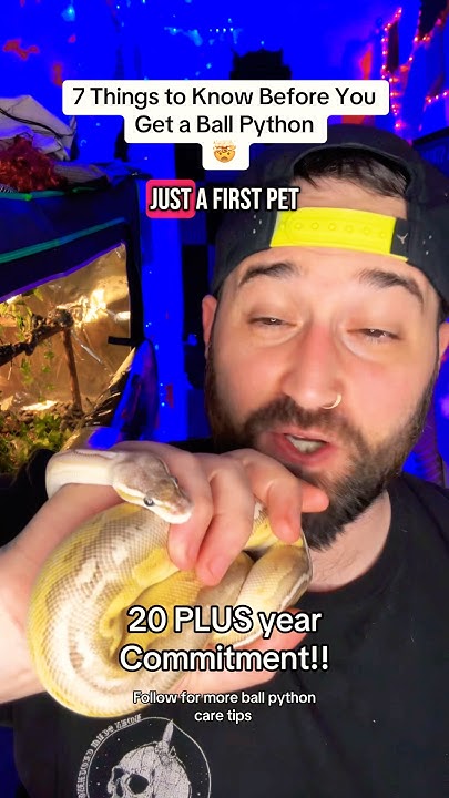7 Things YOU Need to Know BEFORE Getting a Ball Python! - YouTube
