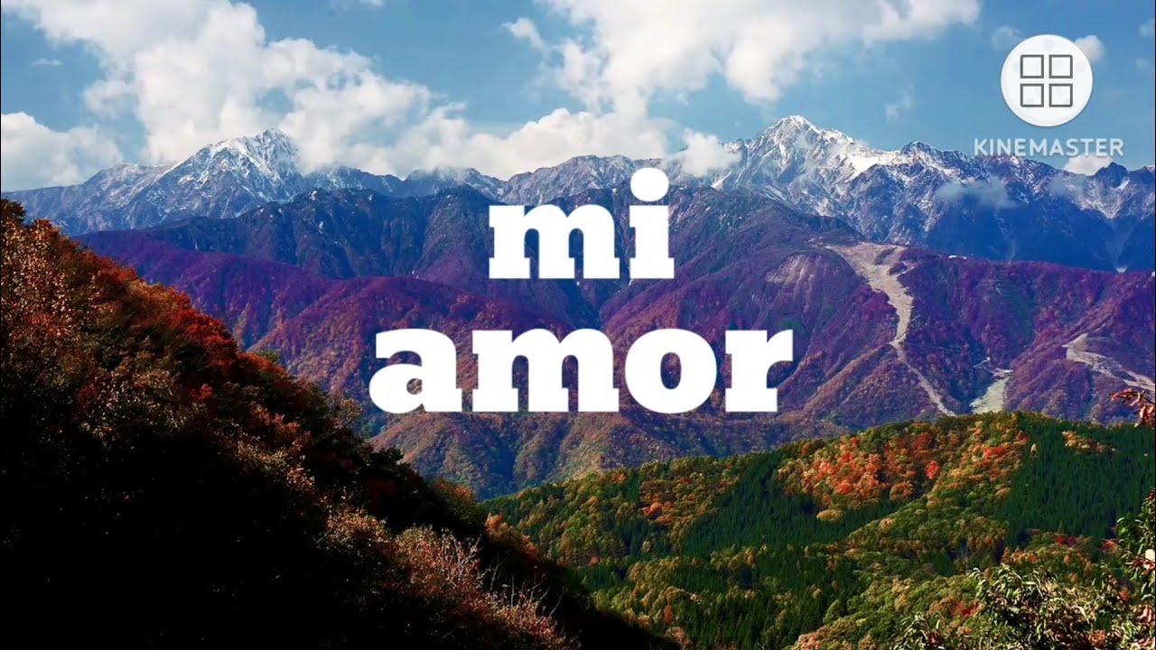 mi amor (Lyrics) - YouTube