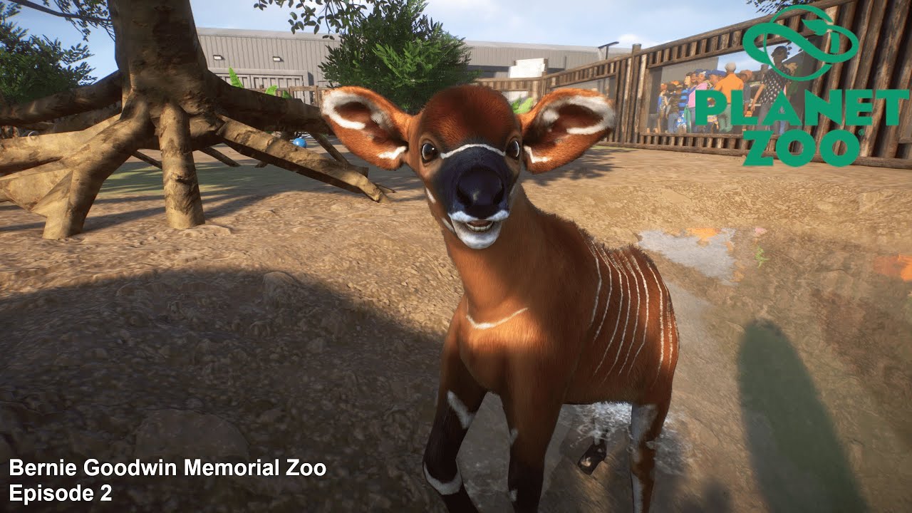 Bernie Goodwin Memorial Zo - Planet Zoo Career - Episode 2 - YouTube