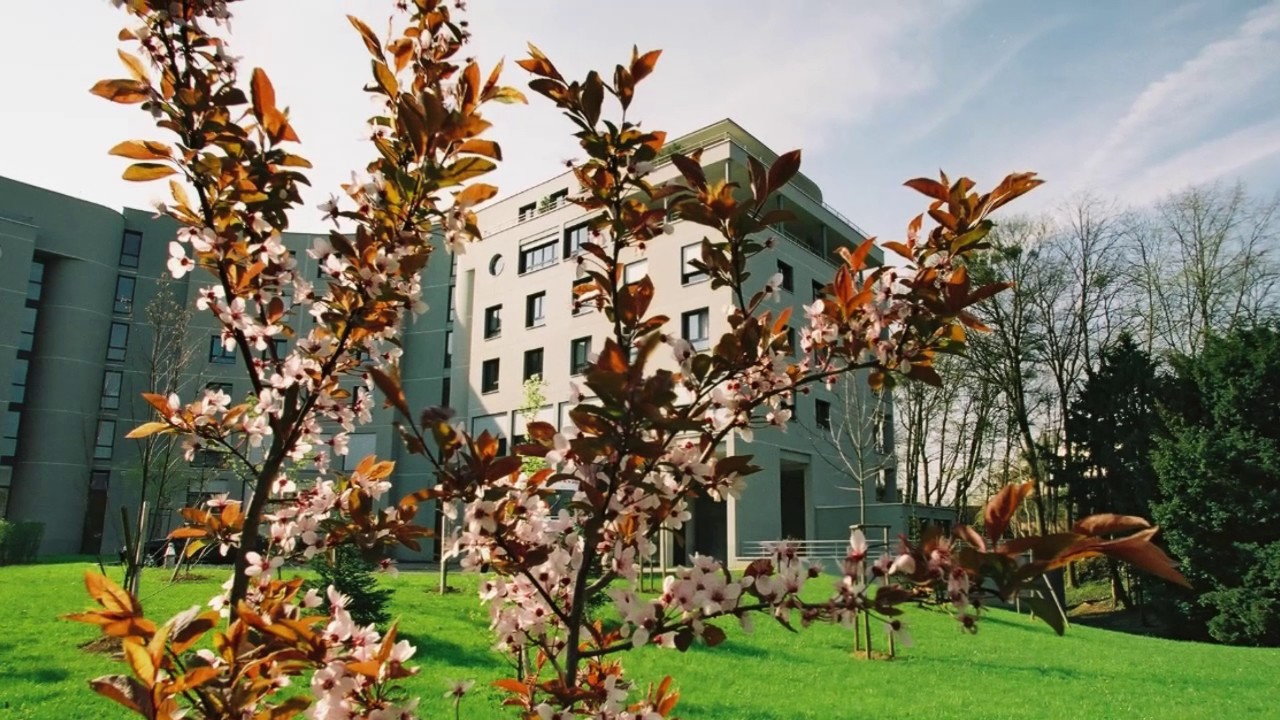 Le Clos des Hamadryades - YouTube