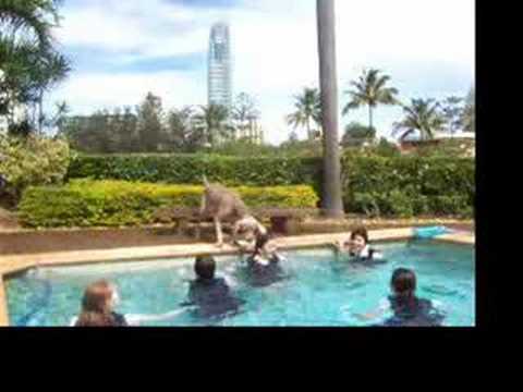 Uniform Swimming