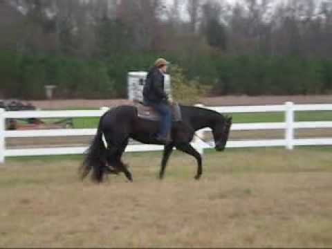 Skipa Do Bar- Jog and Trot - YouTube