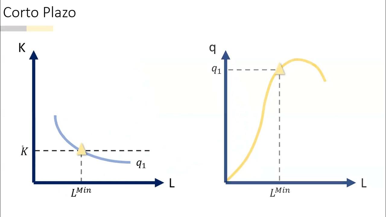 MICROECONOMÍA I - Teoría del Productor a Corto Plazo: Costo Total Mínimo a Corto Plazo - YouTube