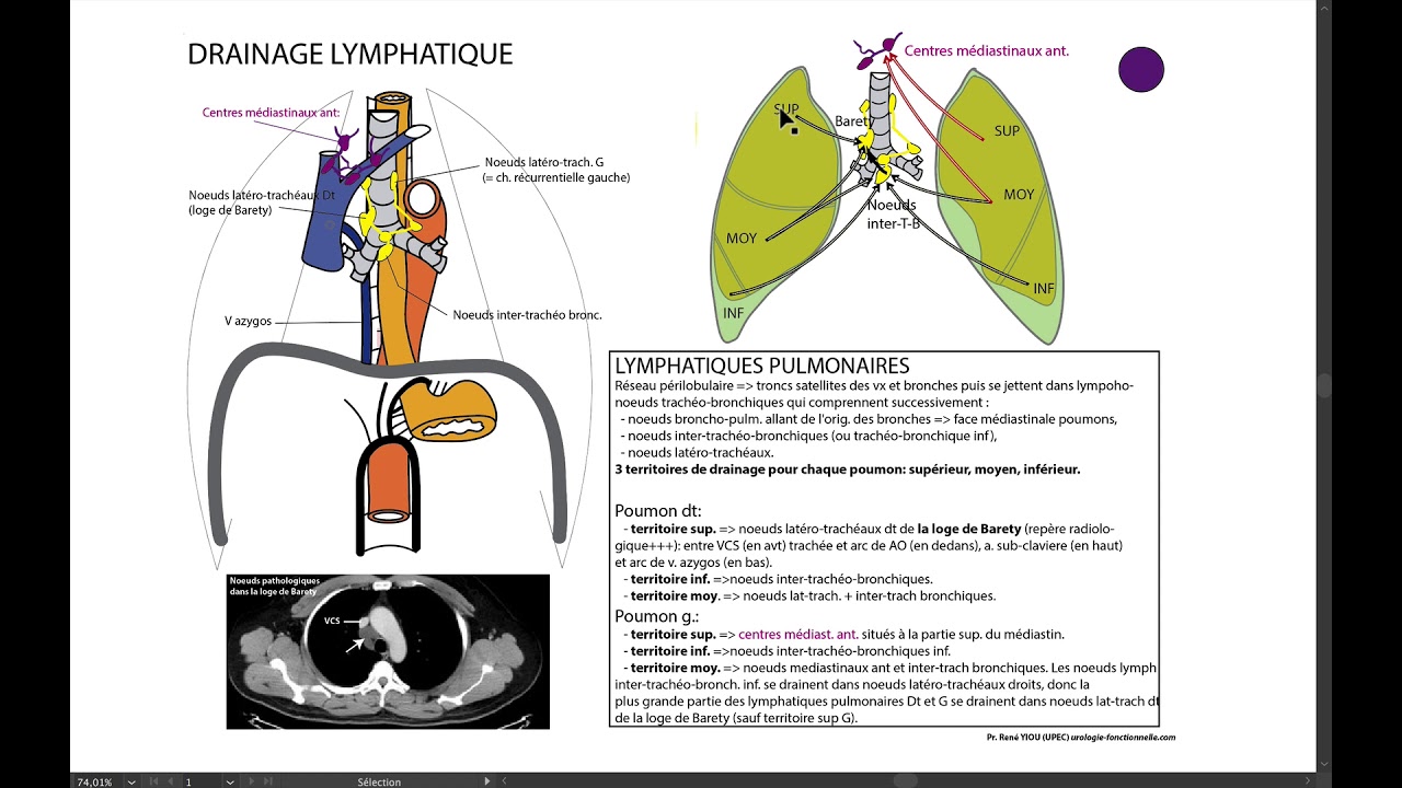 15 Lymphatiques poumons - YouTube