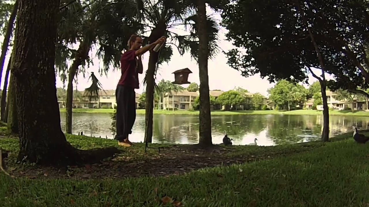 commando squirrel - YouTube