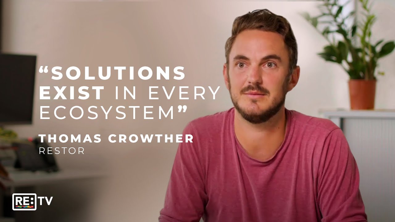 Thomas Crowther: Restoring ecosystems improves the lives of all species ...